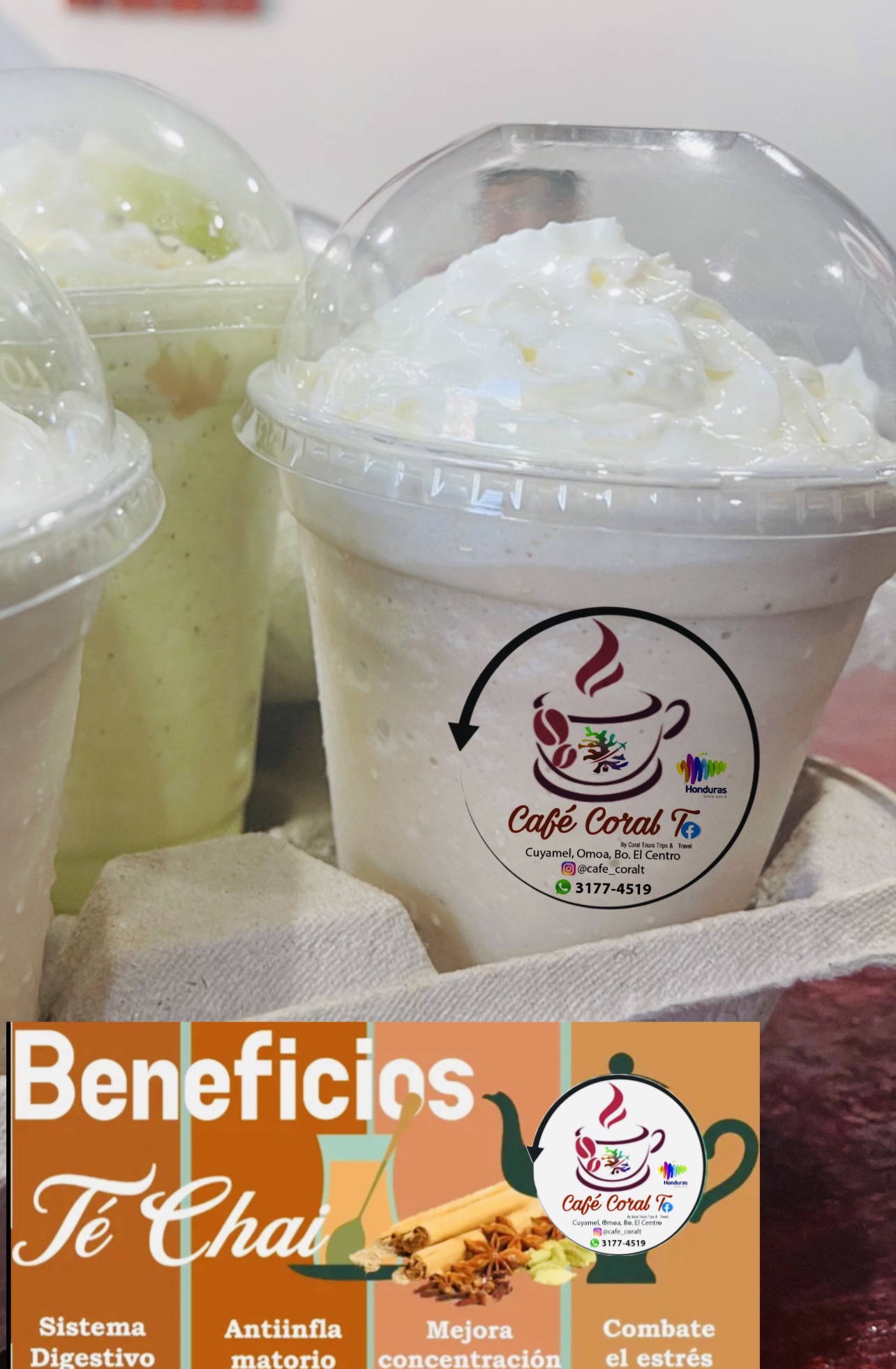 Coral Tours - Terrateimpulsa